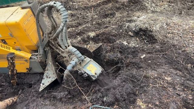 Фрезеровка пней в болотистой местности после расчистки участка
