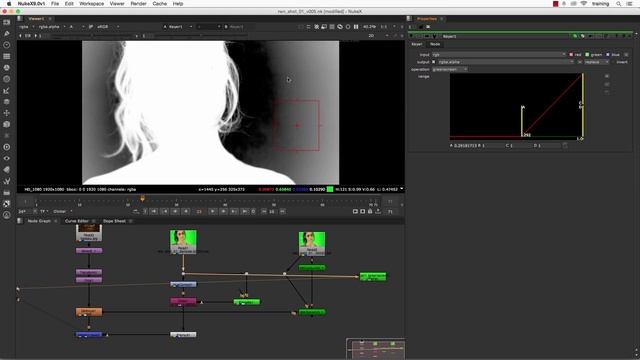 20  Advanced VFX Compositing with Nuke - Green Screen Keying_20
