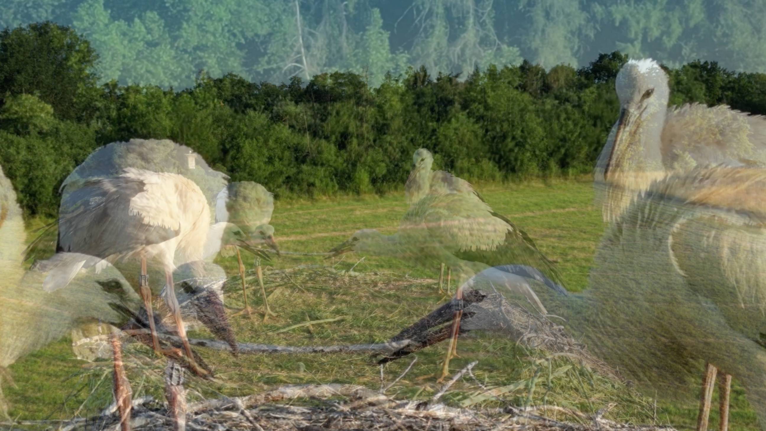 в каждой избушке свои погремушки или глотательная эстафета с резинкой :)