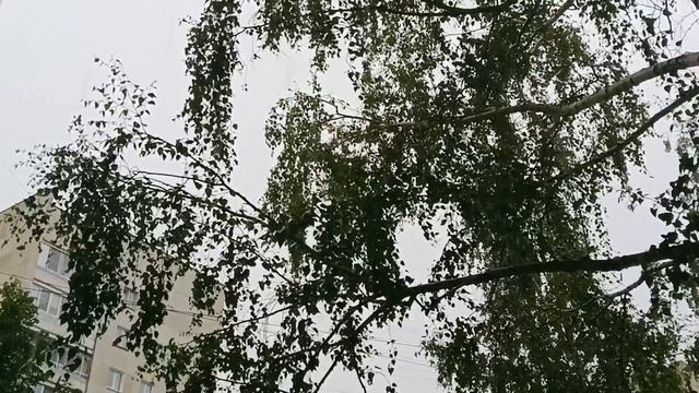 Ливень. 18 июня 2025 г.