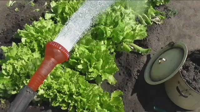 Распылитель для полива