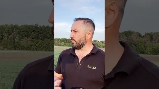 Некорневая подкормка