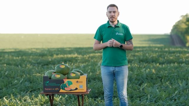 Арбуз колибри - Агросоюз Романовский