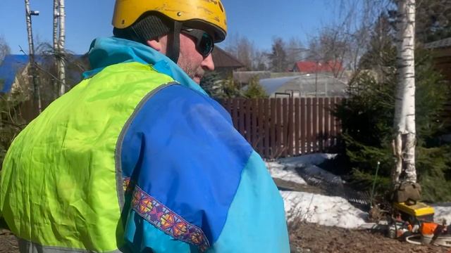 Измельчение веток после спила берёз с вывозом щепы на дачном участке