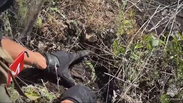 "ДАЛЬНИЕ ДАЛИ " -  Виталий Гогунский.  
О Спасателях Ногинского центра МЧС России .2025г