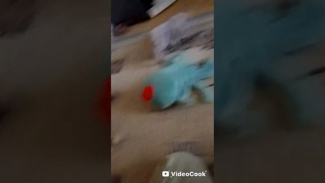 милый котик 1 серия 4 сезона