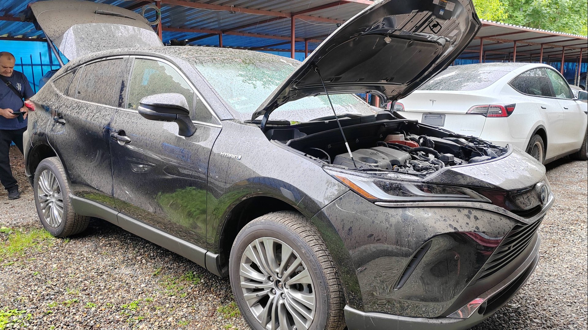 Toyota Venza из США - Выездная диагностика - Автоподбор