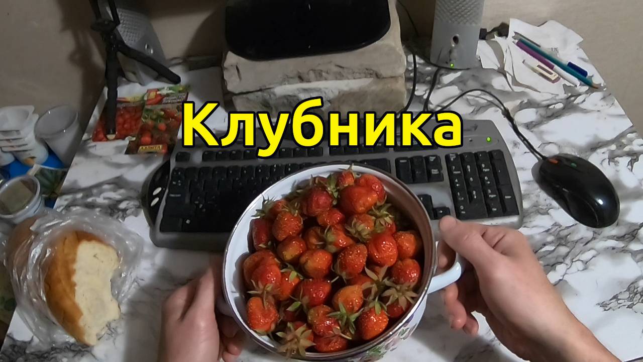 Клубника первый урожай 2025