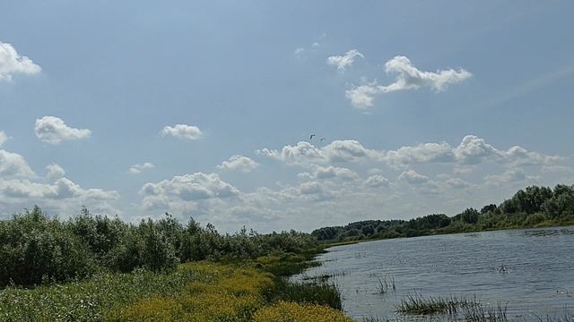 Река Илевна и птицы в небе.