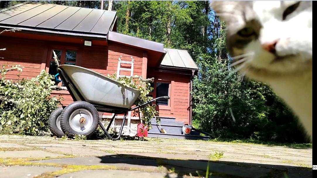 VID_20250622_133819~3