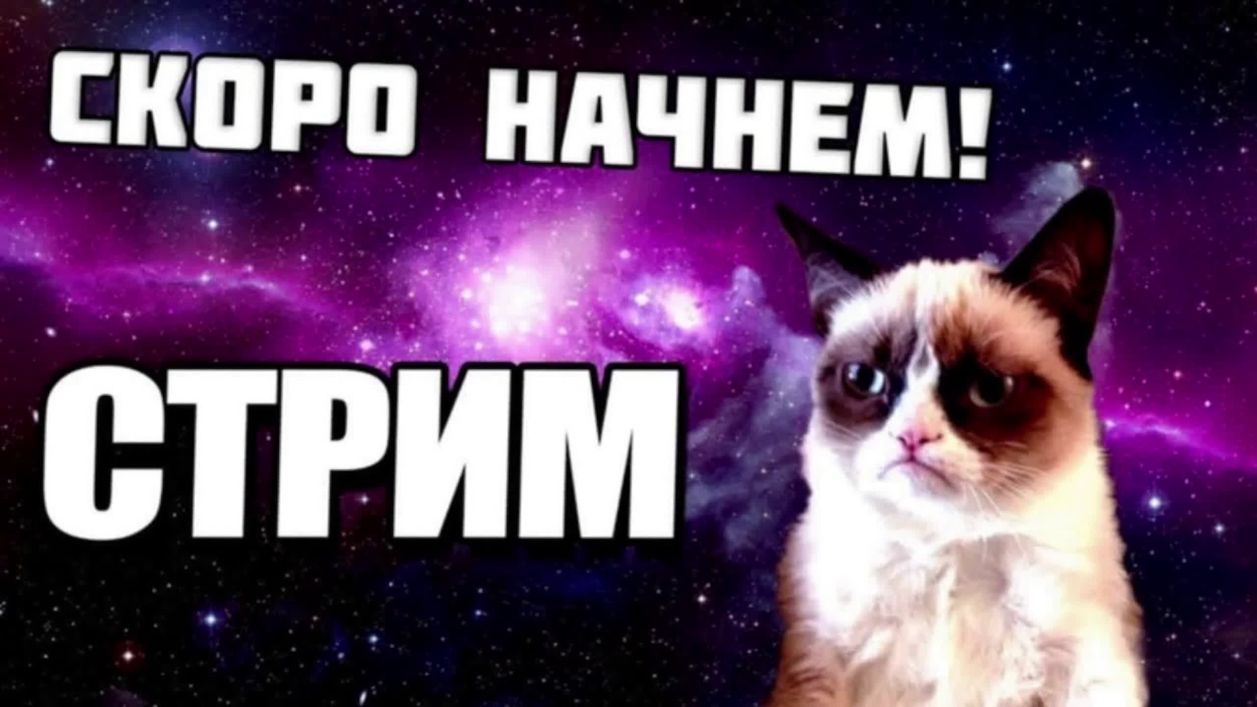 ✅ СТРИМ Euro Truck Simulator 2 1.54 ● Truckers MP КОНВОЙ ● РУЛЬ MOZA TSW Multi-function Stalks