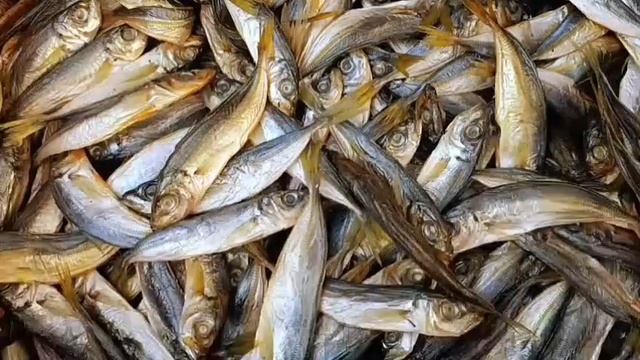 Ставрида холодного копчения