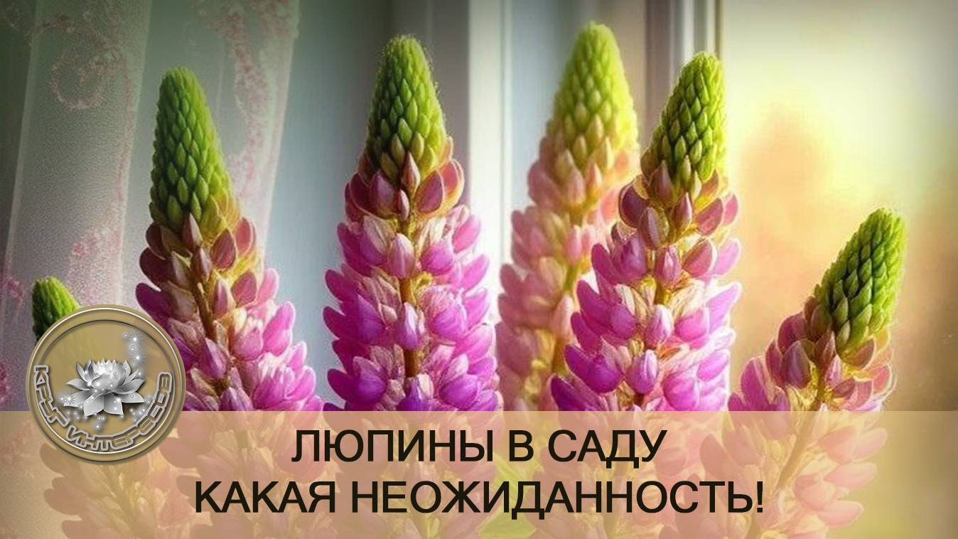 ЗАРОС ЦВЕТАМИ