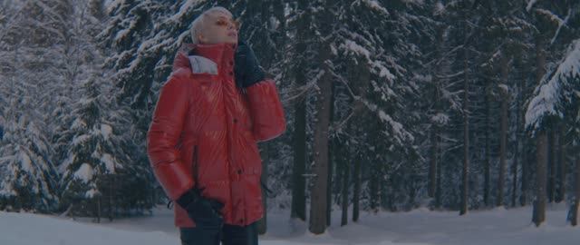 AVI Follow your Instincts