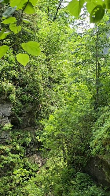 Ущелье Краснодар