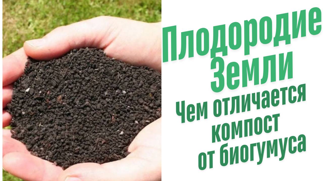 Чем отличается компост от биогумуса?