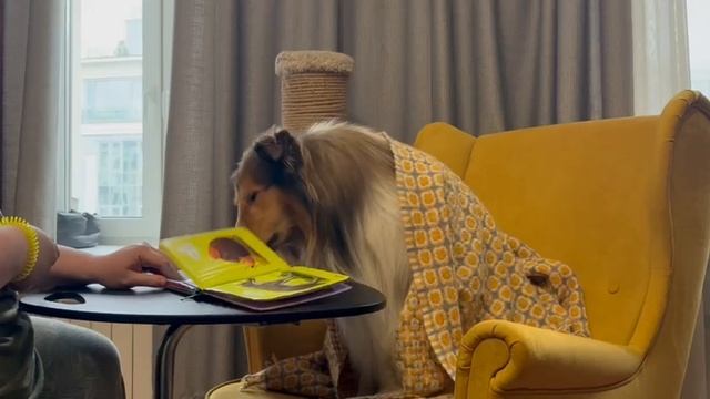 Хуру, трюк с книгой, июнь 25