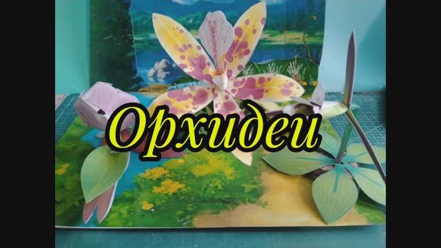Орхидеи из бумаги своими руками