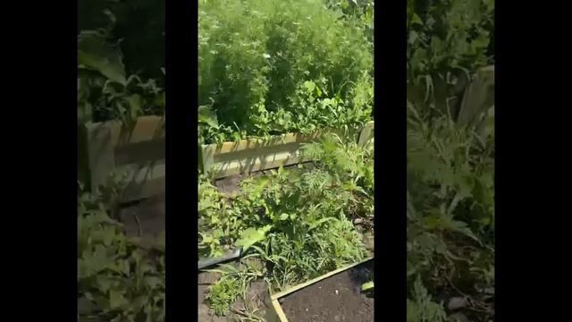 Астахов Дмитрий Мир моими глазами!