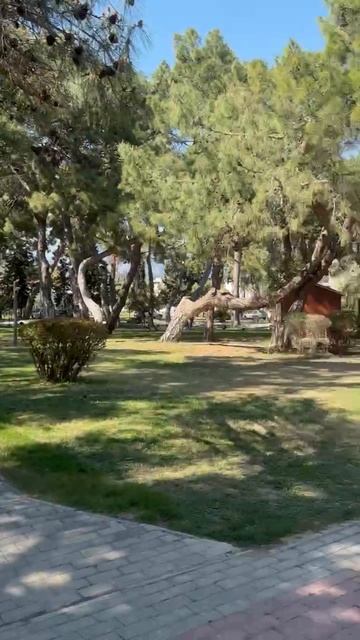 CLUB MARCO POLO. Турция(Анталья)