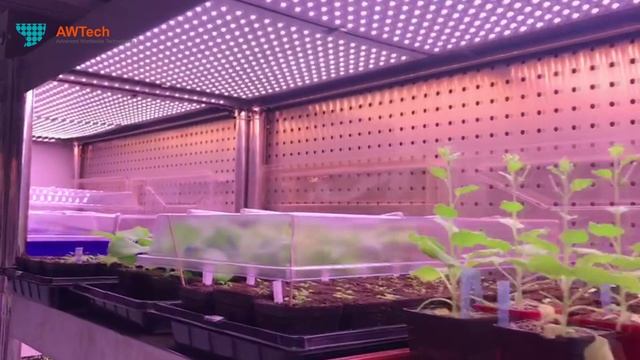 МИР-2 климатическая камера АВТех