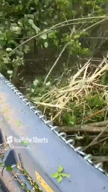 С Ходиком или Без? МТЗ-1221  с эталонным измельчителем 89261385927 #ротоватор #мульчер #беларус