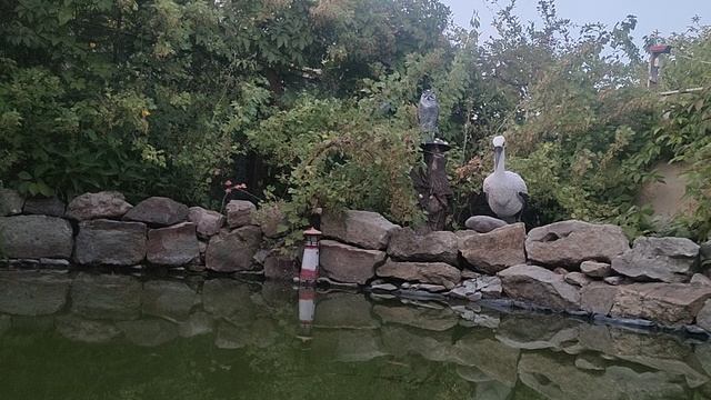 Дачная идилия.Садовый пруд.Вечер.Караси кушают.