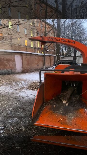 Измельчение ствола дерева мощным измельчителем