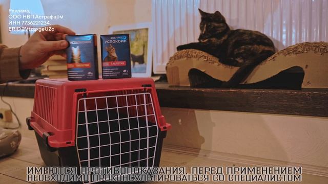 Экспресс Успокоин для кошек