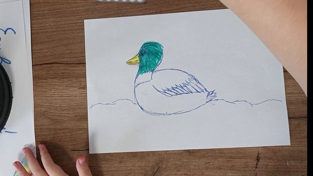 Рисую утку