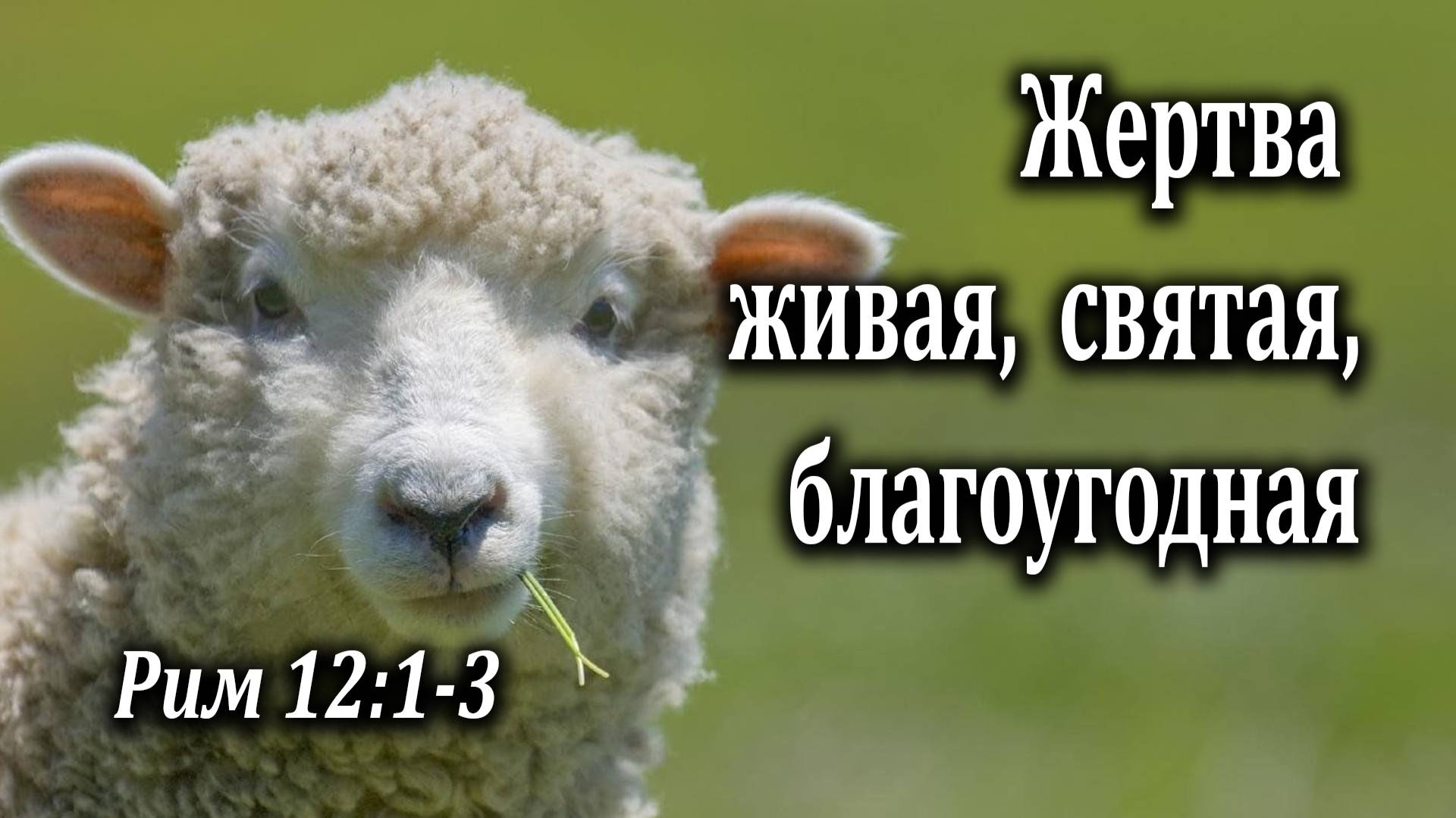 23.10.2022 "Жертва живая, святая, благоугодная" Рим 12:1-3 Левшин Денис