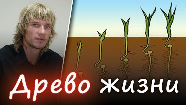 ℹ️ ВЕРА, НАДЕЖДА, ЛЮБОВЬ ❤️ — путь или древо жизни христолюбца (17.07.2017) #ВЕГАН 💚 #ХРИСТОЛЮБ ✝️
