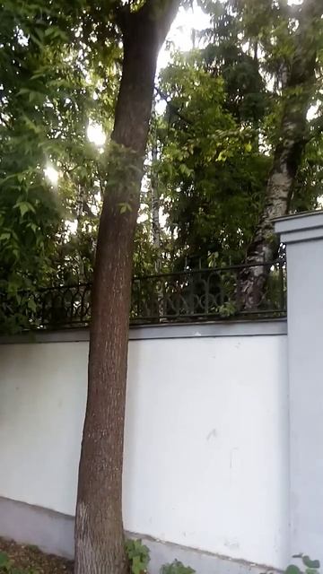 Переделкино 2025