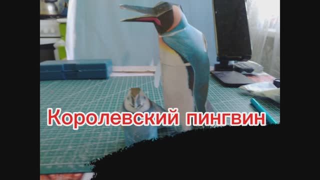 КоРоЛеВсКий пингвин 🐧 из бумаги своими руками.