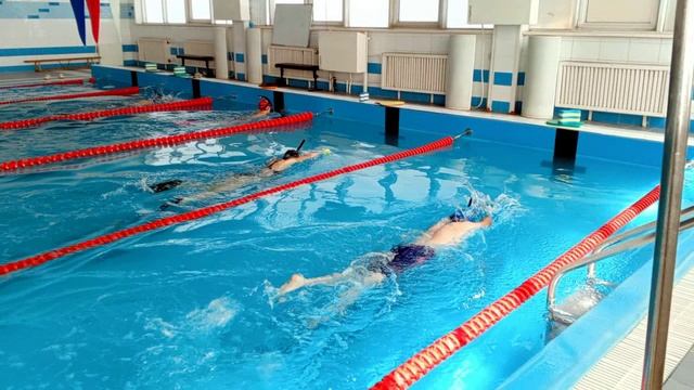 Кроль Работа над техникой Земедленно 18