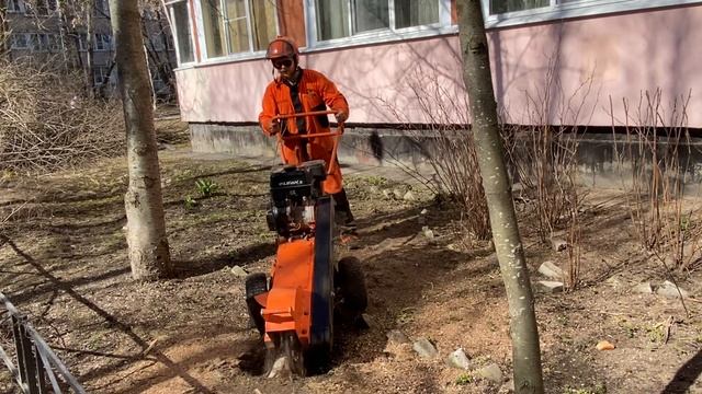 Удаление пня ручной дробилкой пней в черте города