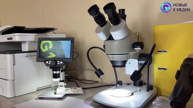 В гости к ученому!