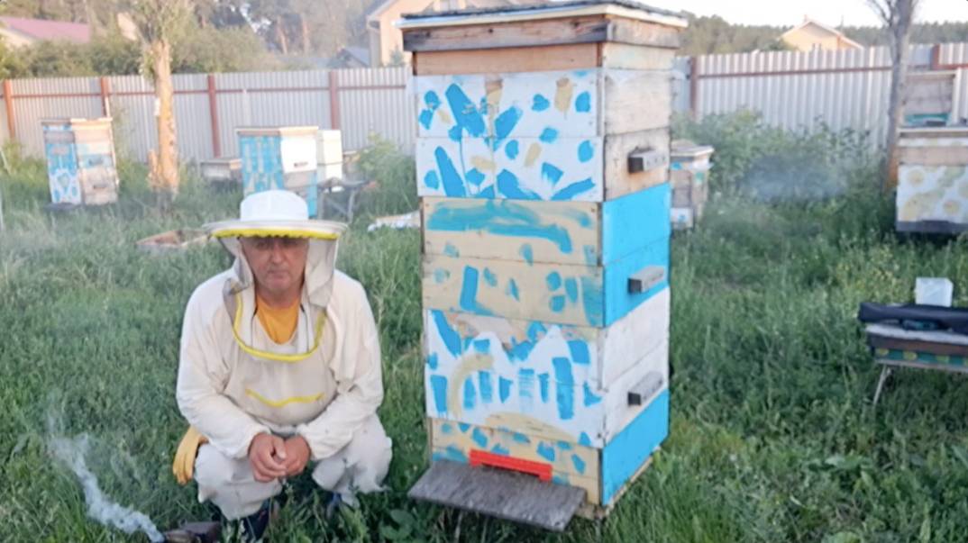 Увеличение медосбора за счёт организации летней вентиляции ульев по Кашковскому