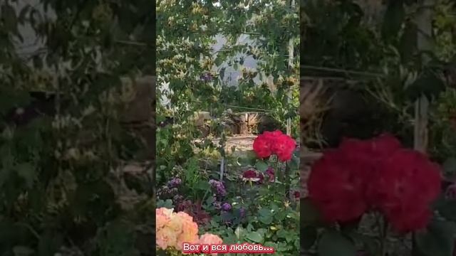 2025 Вот и вся любовь