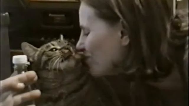 Алёна , я , Таня , Миша , Валера , Ларик , Шурочка , Светик+Выпускной.02