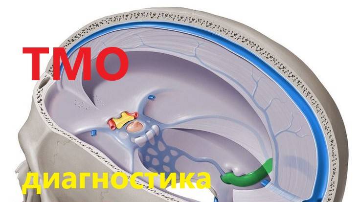Диагностика тела через ТМО (твердая мозговая оболочка) и ее релакс. Теория.