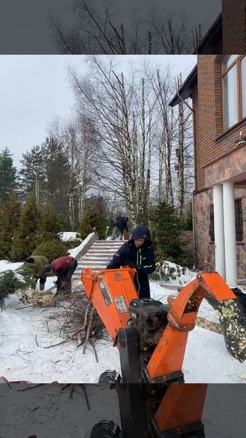 Измельчение веток в щепу от берёз на дачном участке