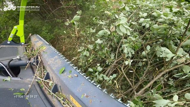 На что способен МТЗ 1221 на расчистке с премиум мульчером Miubo