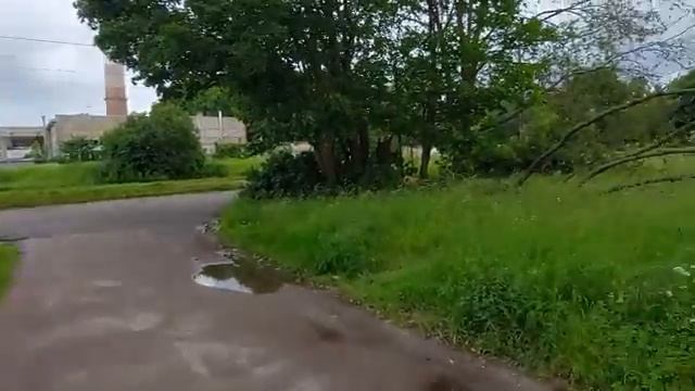 праздничные дни, день рождения, Рената Смирнова. 2025