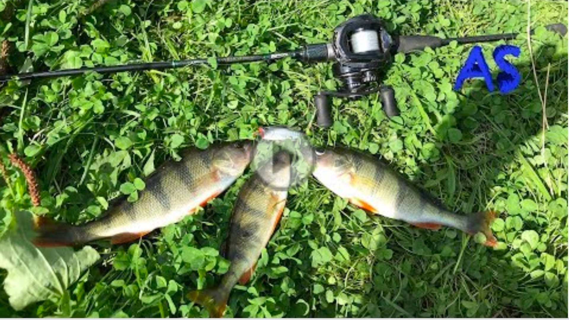 МОЛНИЕНОСНАЯ РЫБАЛКА НА ПОППЕР. ГОДНЫЙ ОКУНЬ. кастинг ультралайт.