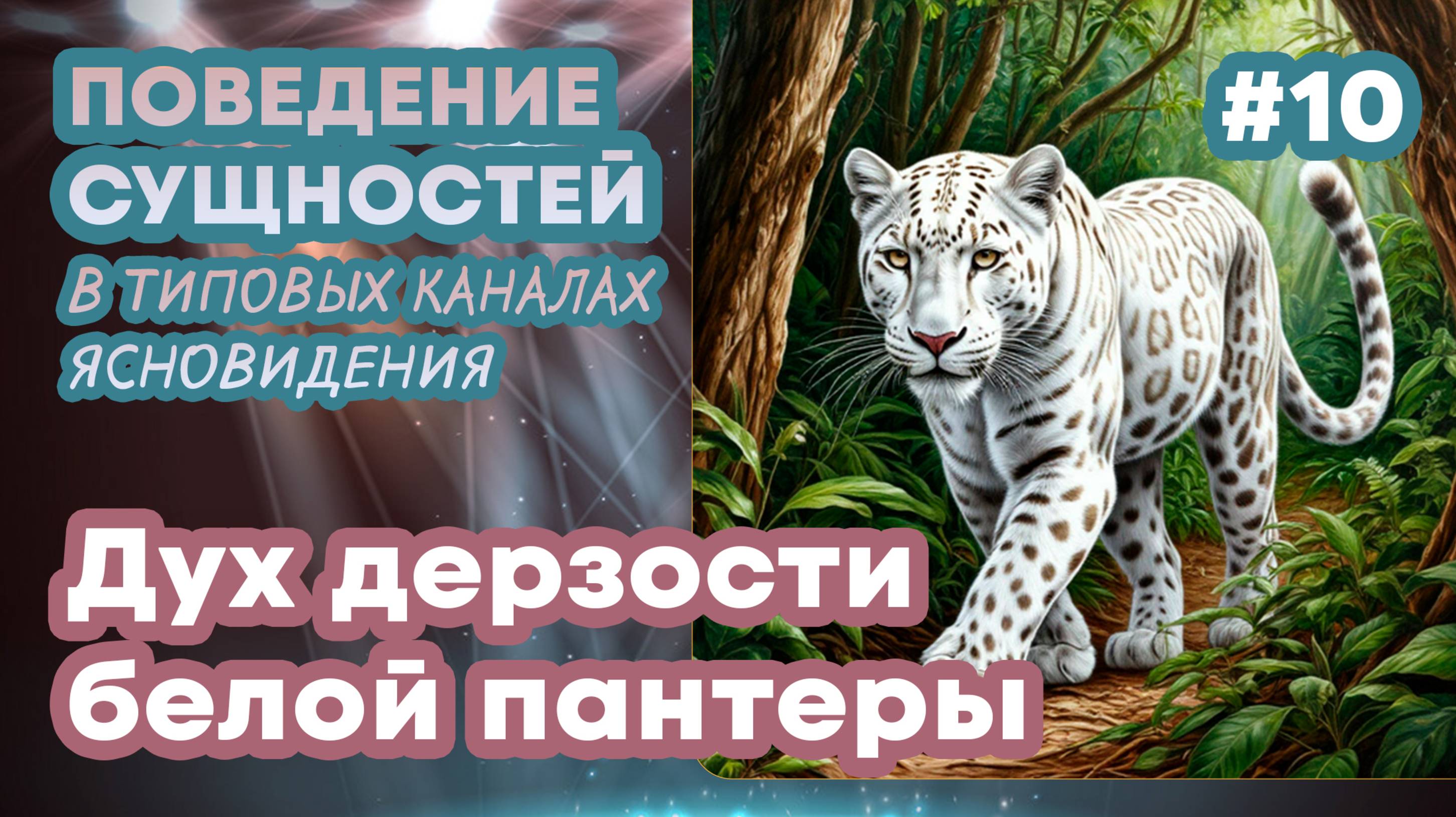 Дух дерзости белой пантеры - Выпуск 10 | Поведение сущностей в типовых каналах ясновидения