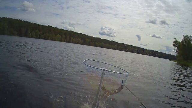 Рыбалка. Лето. Земляника на десерт.