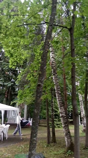 Переделкино 2025.