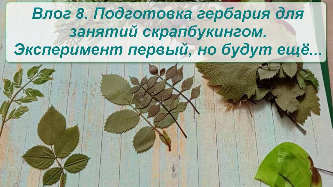 Влог 8.Подготовка гербария для занятий скрапбукингом. Эксперимент первый, но будут еще....