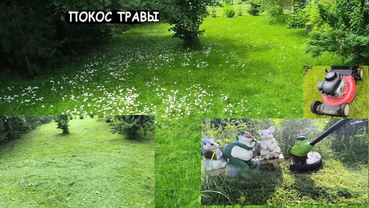 Покос травы на дачном участке. Чем косить траву. Причины скашивания травы. #покос_травы    #газон